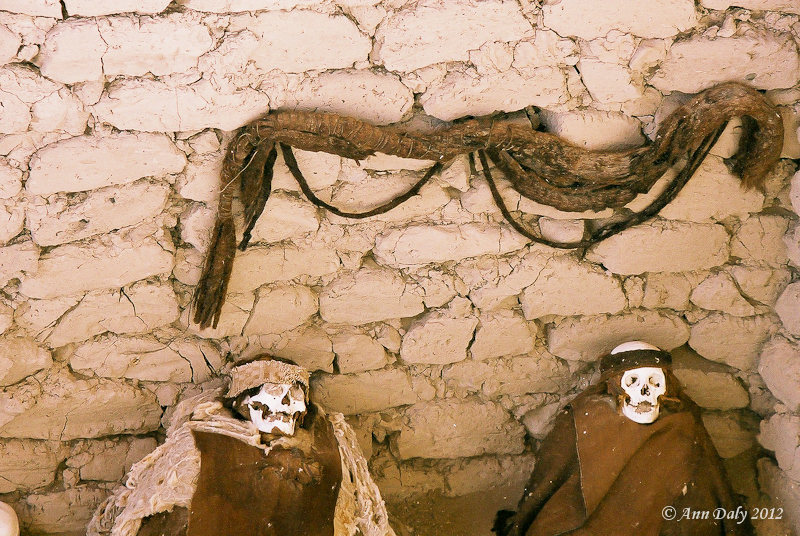 Sydney Meanderings: Taphophile Tragics