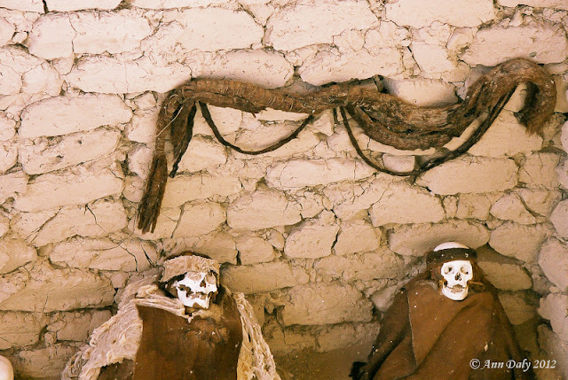 Sydney Meanderings: Taphophile Tragics