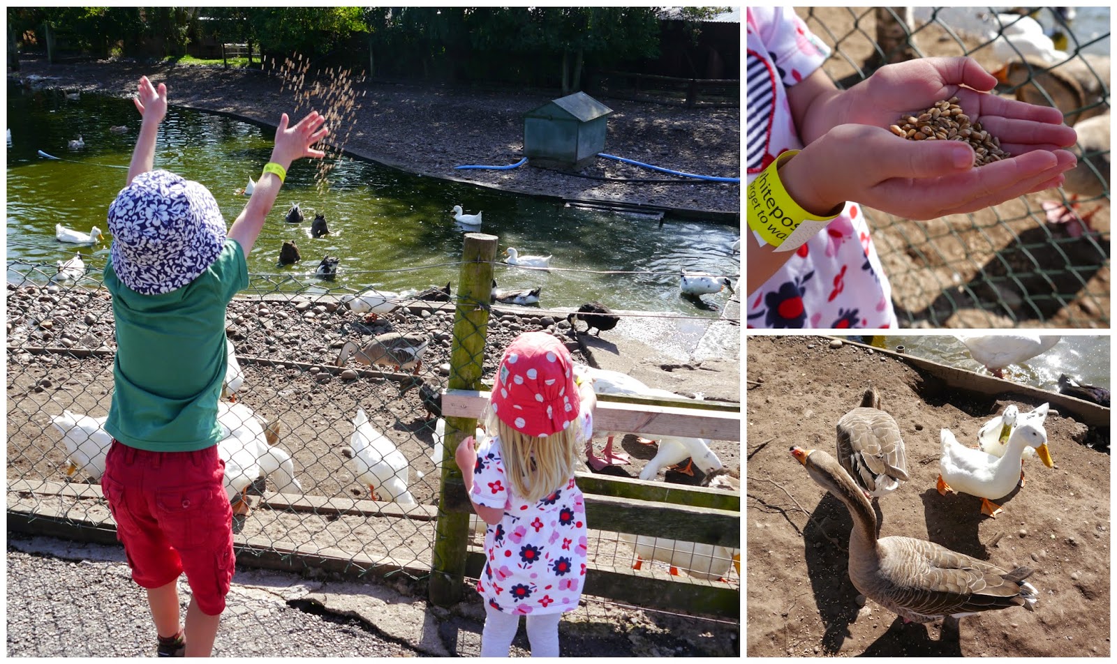 The Mummy Diary: A Visit to White Post Farm