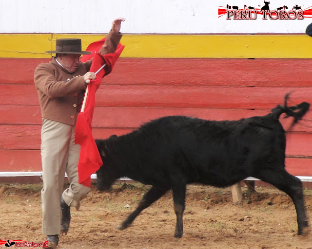 PERÚ TOROS: ALCALDE TORERO