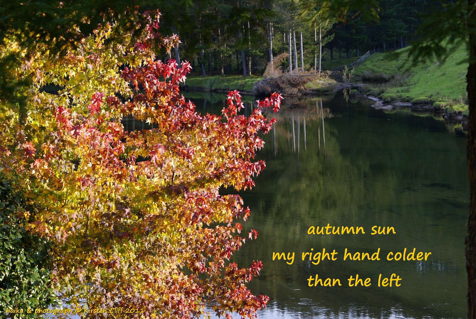 Swimming in Lines of Haiku: Kirsten's 2012 Calendar of Haiku & Photography