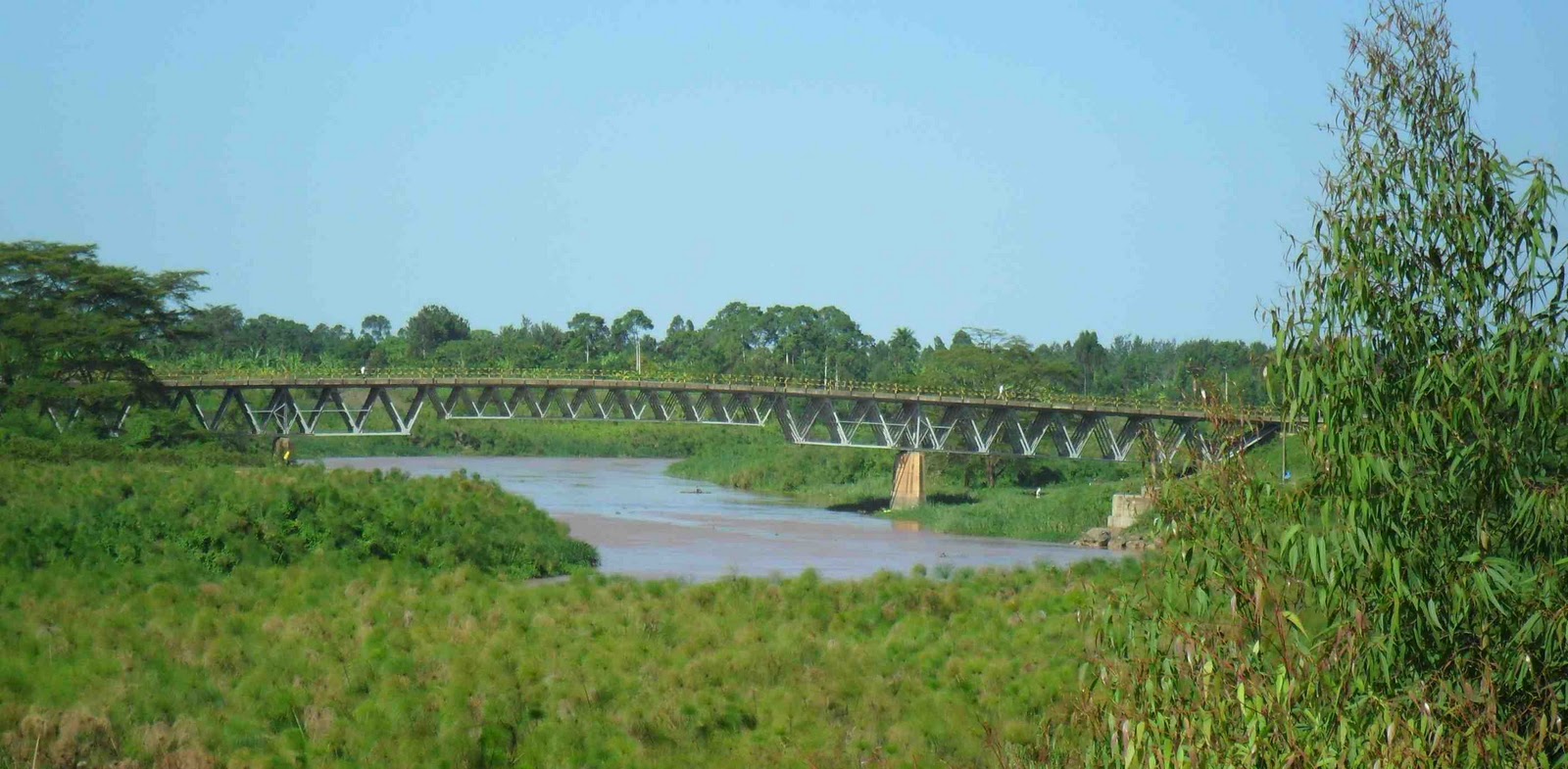 Another Year in Africa