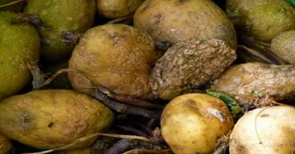 Whole Family Dies After Young Woman Makes A Simple Mistake In The Kitchen