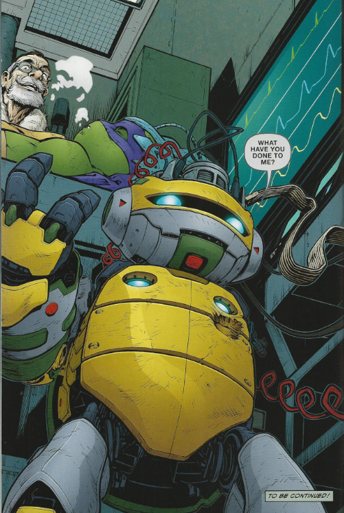 TMNT Entity: TMNT (IDW) #45