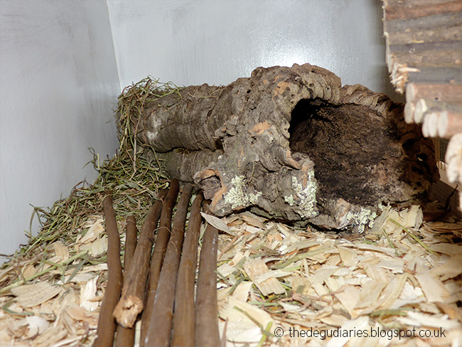 Degu Home Decor