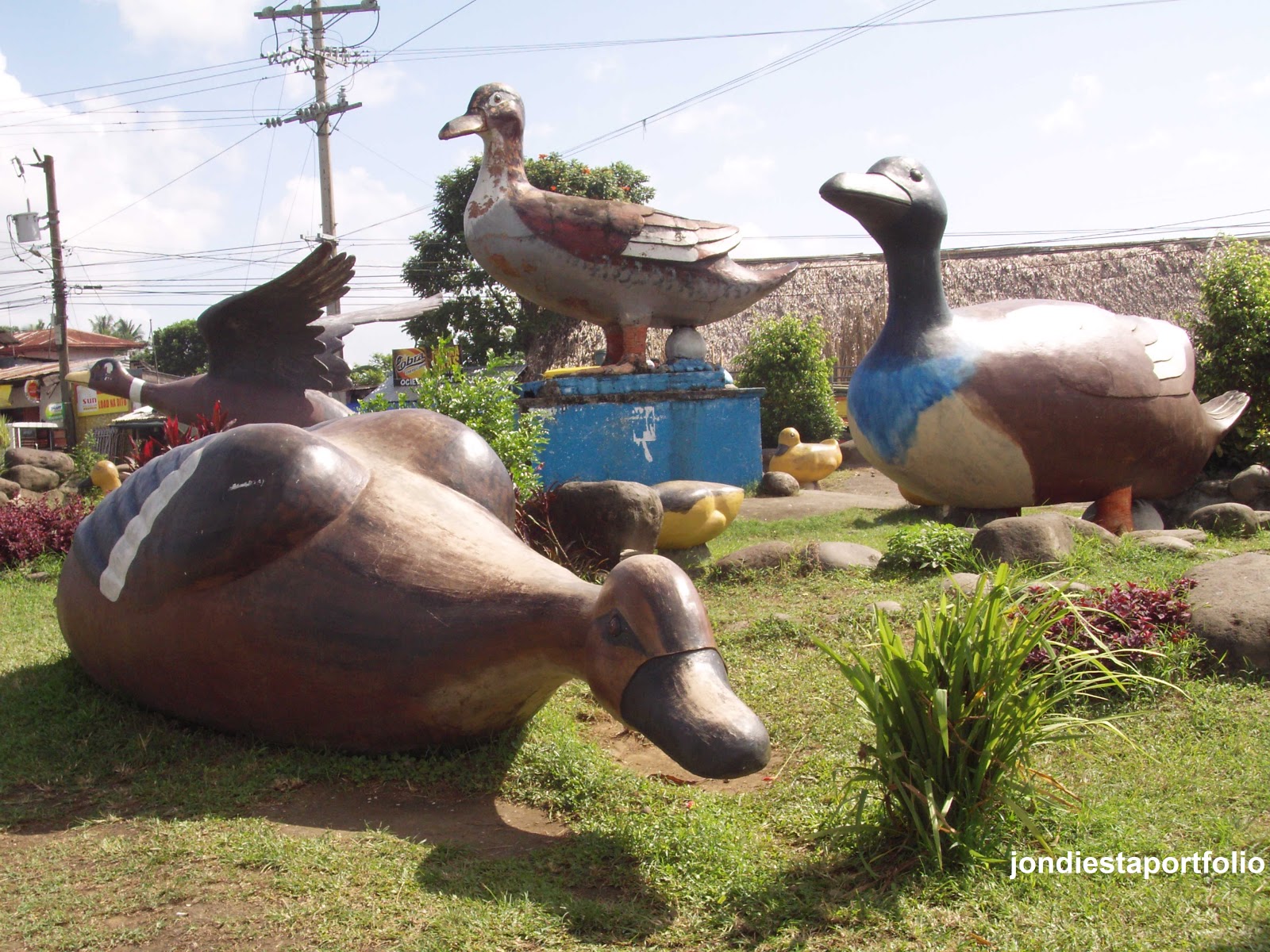 Top 10 Festivals of the Province of LAGUNA: Victoria, Laguna - Itik ...