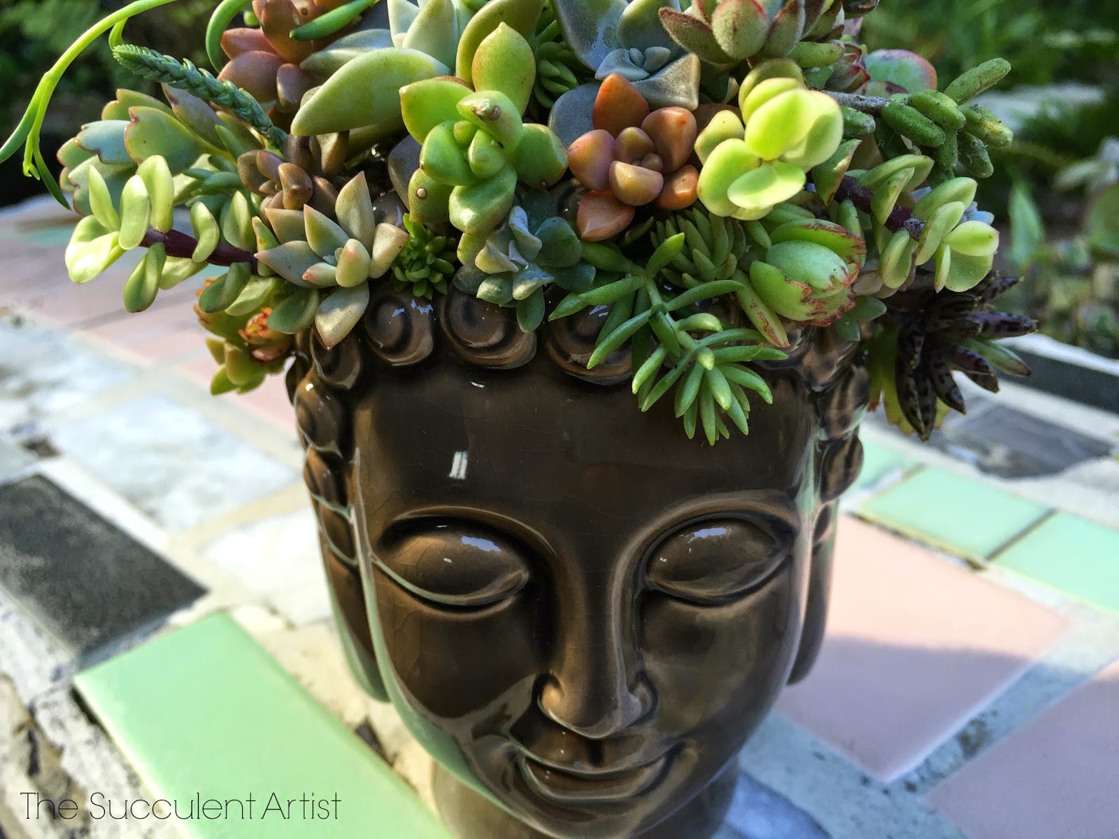 Buddha Head Succulent Planter