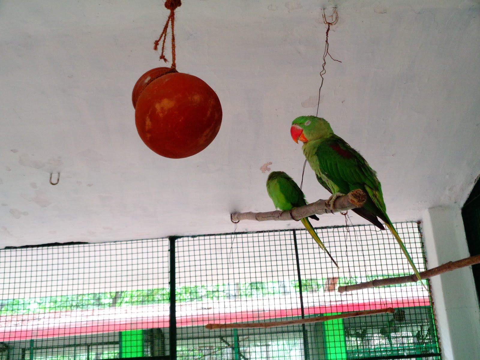 Kurumbapatti Zoological Park