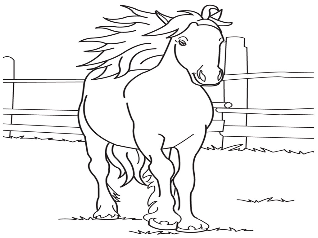 Mewarnai Gambar Kuda | Mewarnai Gambar