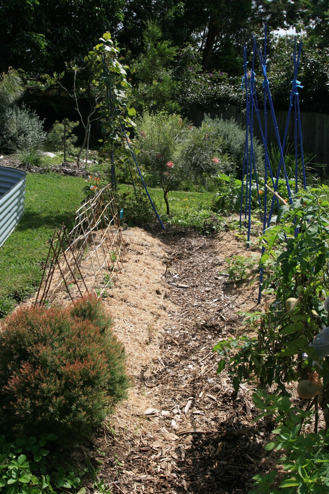 Real World Gardener: Having a Swale of a Time in the Garden