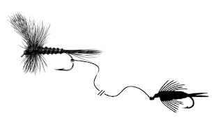 Fly Fishing In Yellowstone National Park: 04/01/2018 - 05/01/2018