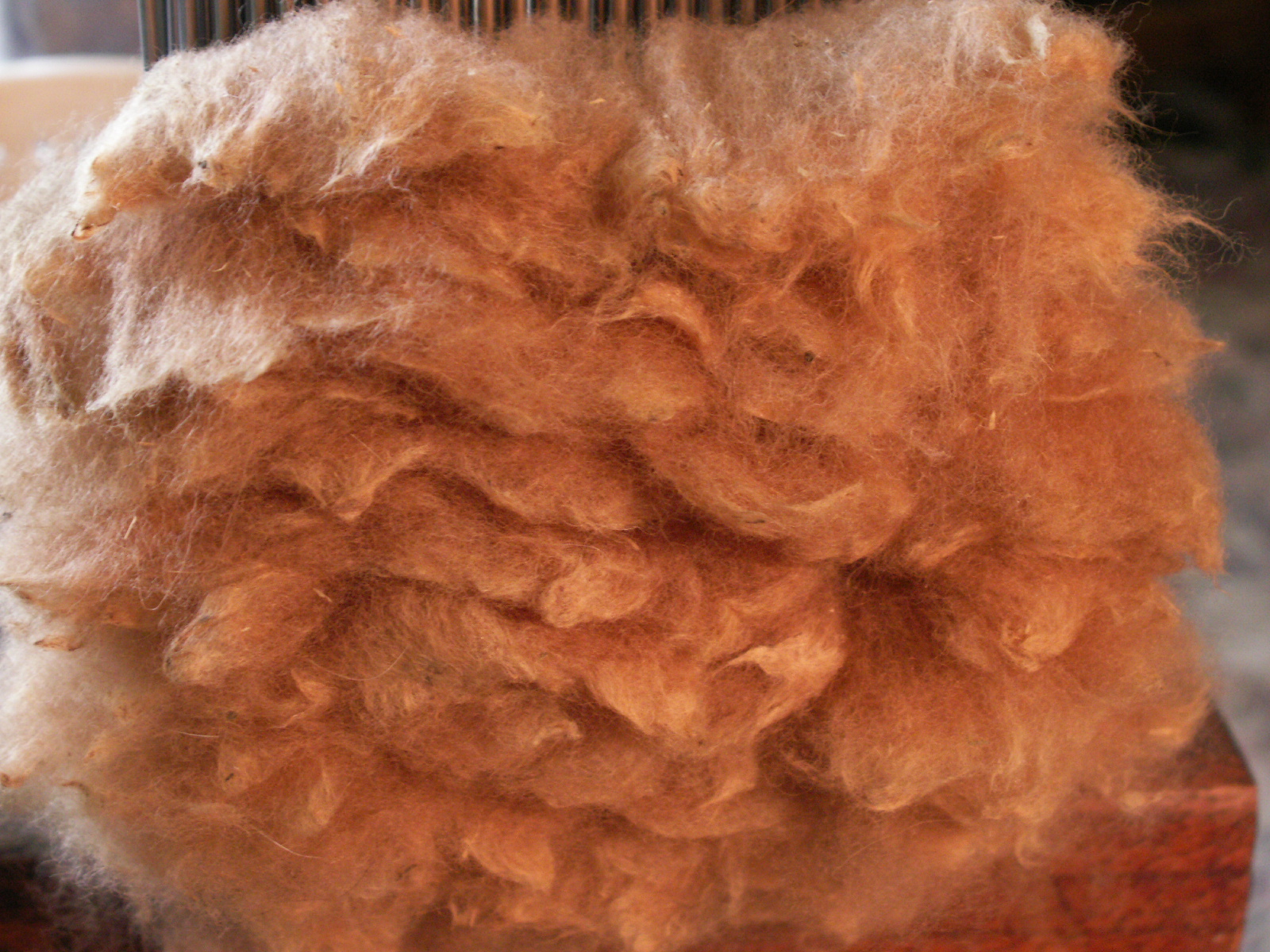 Kimberly's Heirloom Crafts: Luxurious Paco-Vicuña