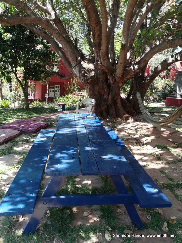 Native place Kamshet-Nirvana Adventure's basecamp - eNidhi India Travel ...