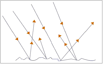 Sec 2 Science eportfolio: Term 2 Reflections