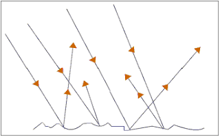 Sec 2 Science eportfolio: Term 2 Reflections