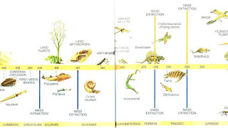 Timeline of the evolutionary history of life
