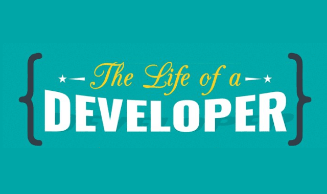 The Life of a Developer #Infographic - Visualistan