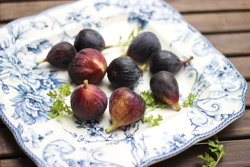 Edible biology: Fig, fennel, pistachio and peppercress pizza
