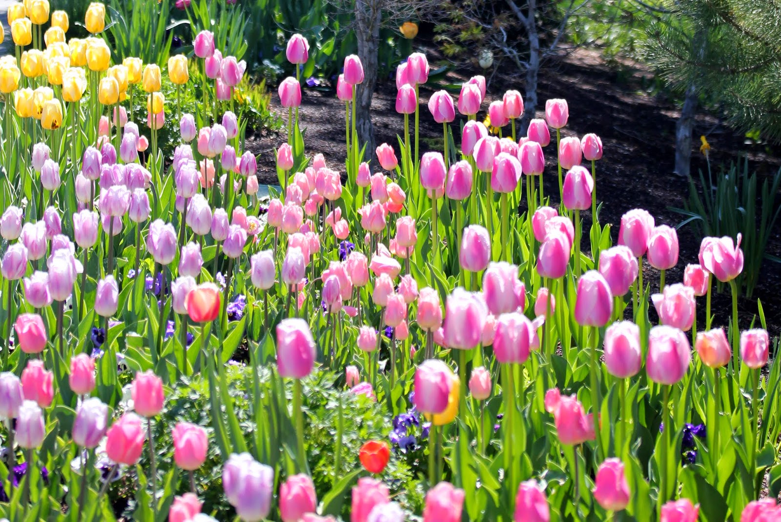 Jill's World of Research, Reaction and Millinery: A Colorful Weekend ...