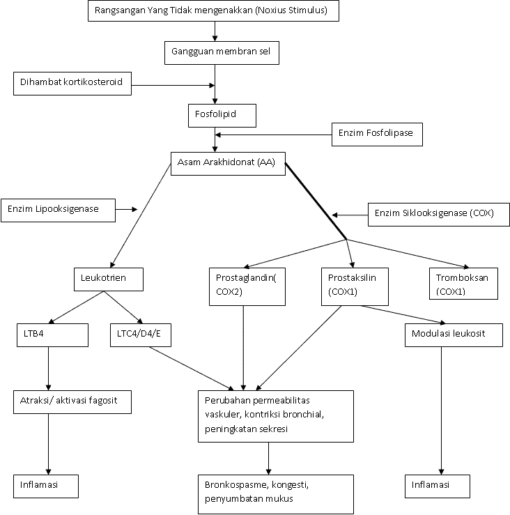 Mekanisme Inflamasi ~ Berbagi Informasi