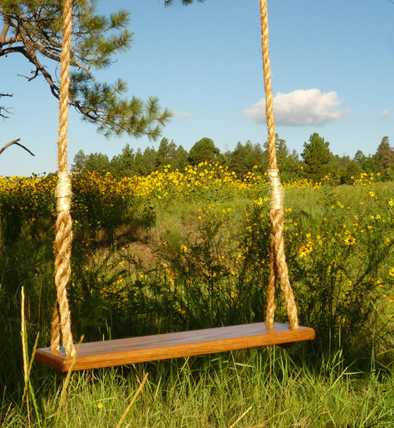 Chitrasutra: I Still Like Swinging On the Swing!!