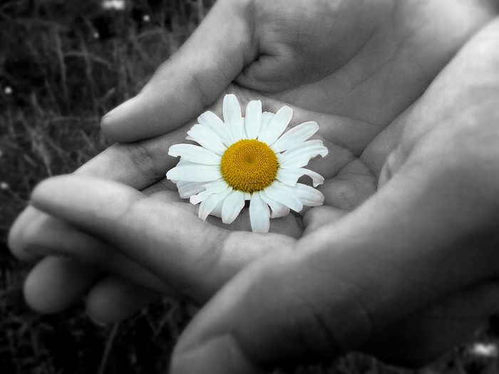 Fresh Pics: 50 Beautiful Examples of Selective Color Photography