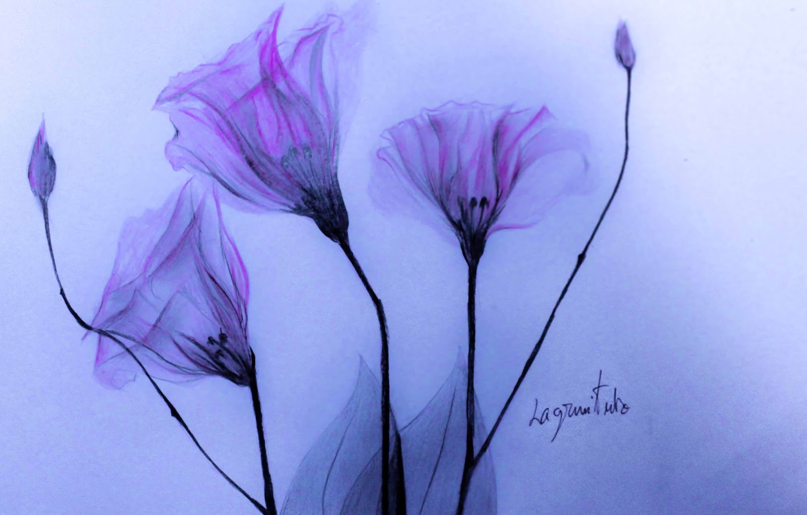 How To Draw A Flower how-to-draw-a-flower