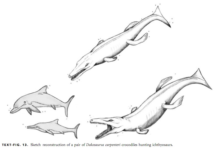Species New to Science: [Palaeontology • 2008] Torvoneustes (Dakosaurus ...