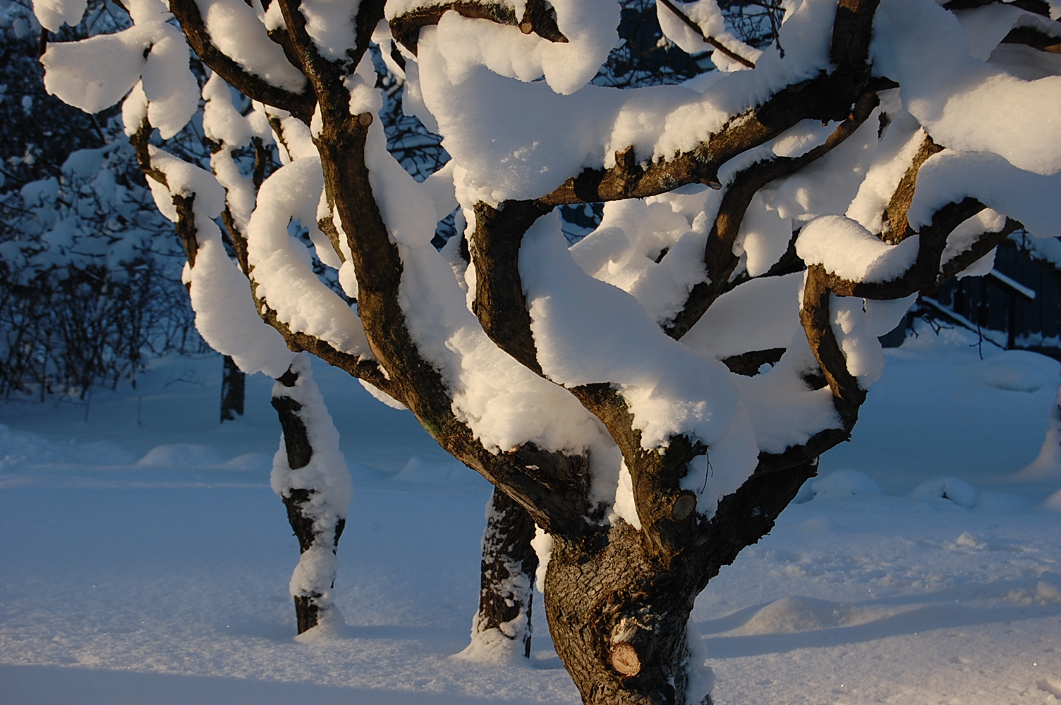 Meanwhile in Helsinki: Haruna ei keksiny mulle otsikkoo. yhyyyy....