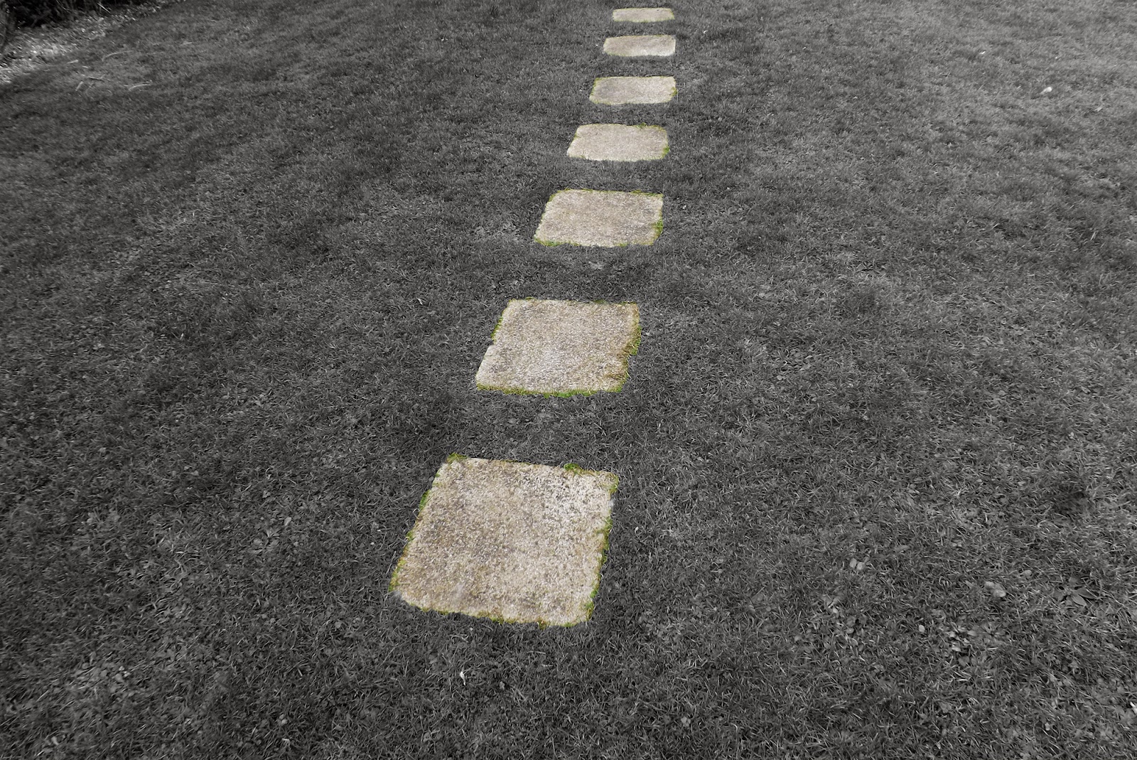 Dylan Unit 2 Photography 9491: Evidence Shoot 6 (Evidence of the Man ...