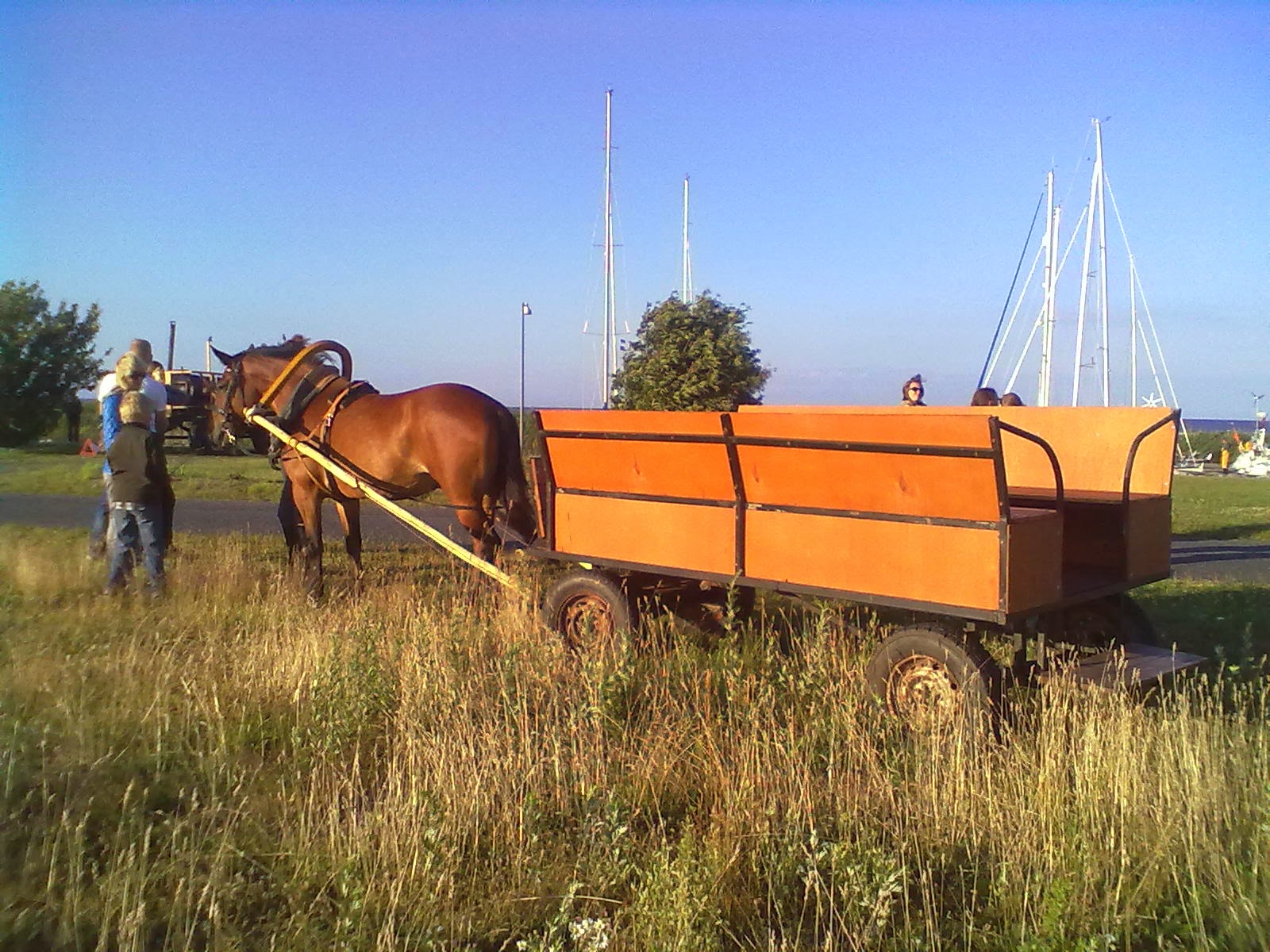Pagemine seiklusse: Korsi talu talgud Ruhnus