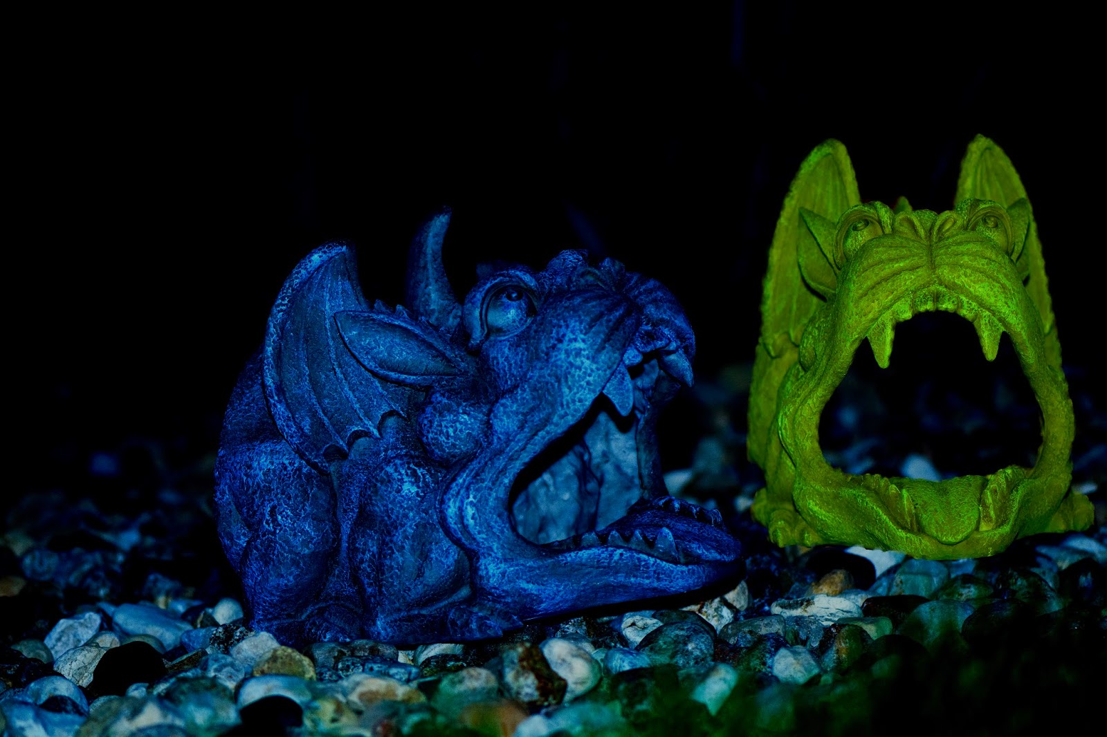 365 Vibrant Life Challenge