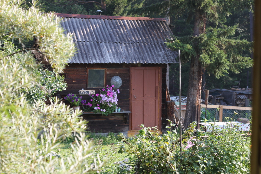 Siberian Life: Dacha
