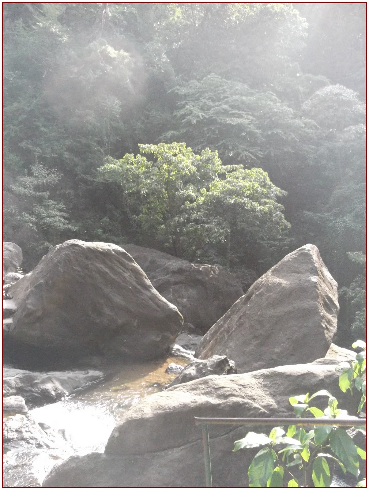 പ്രകൃതിയിലേക്ക് ഒരു യാത്ര ...a travel towards NATURE ...