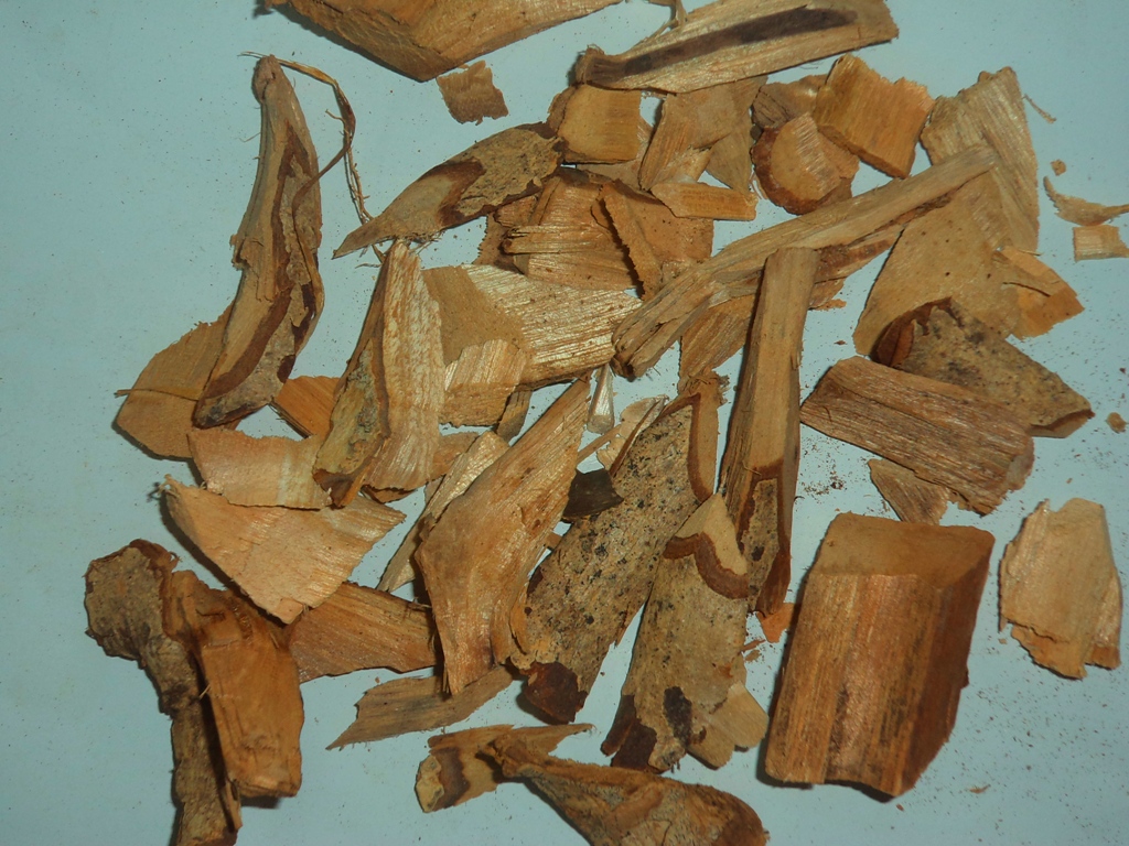 Gmelina arboria / Atdemata / ඇත්දෙමට / Bhadraparni / Sri parni ...