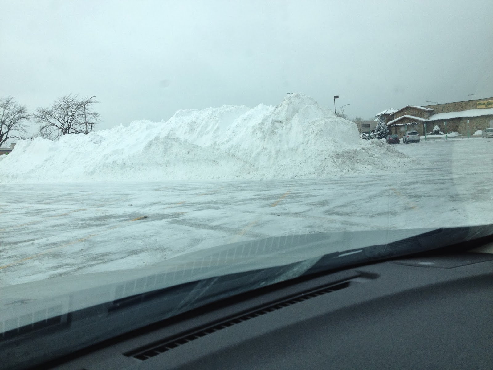 Suburban Chicagoland: "SnowNado": One tough winter with Snow Dec 2013 ...