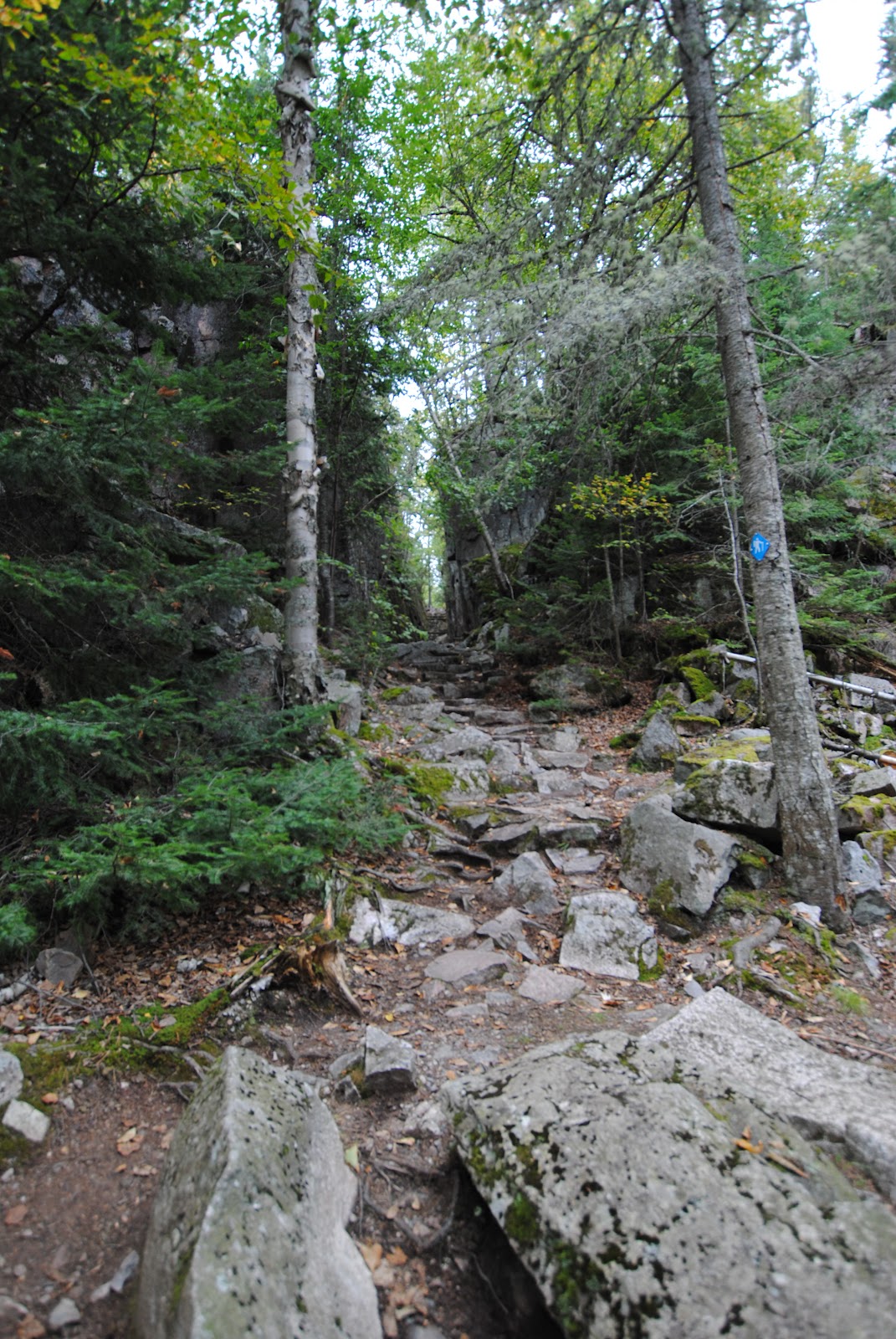 Travel Dog: Agawa Rock