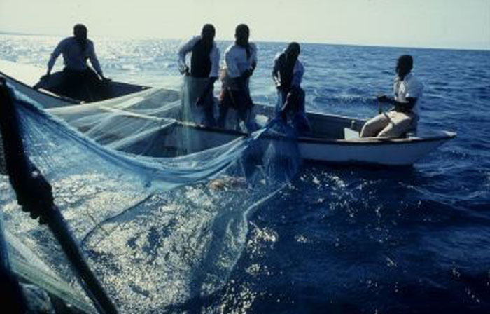 from USA with luv: catch people doing something right!