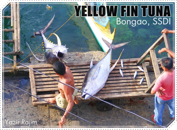 Bongao: Where Destitute Survive | ALL TAUSUG