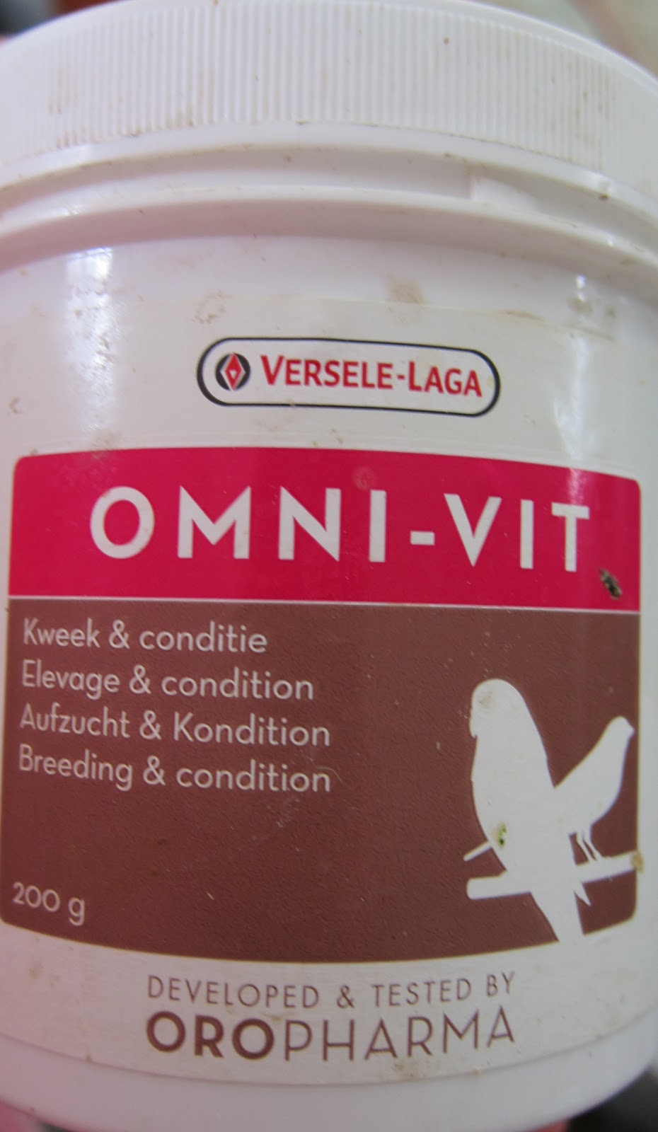 Canary Tales: Very Last Chance: "Is It Too Late For Infertile Pairs?"