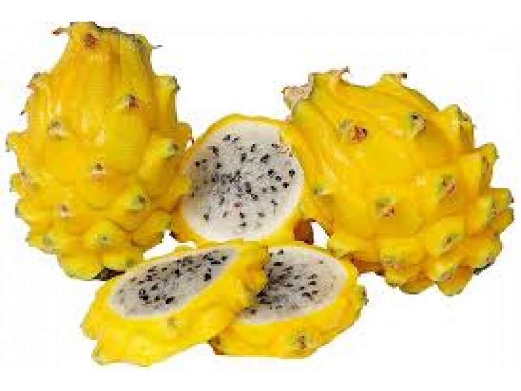 Postres de Pitahaya : PITAHAYA
