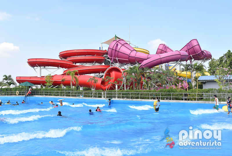 AQUA PLANET CLARK: Experience, Travel Guide, Ticket Prices, Tips and ...