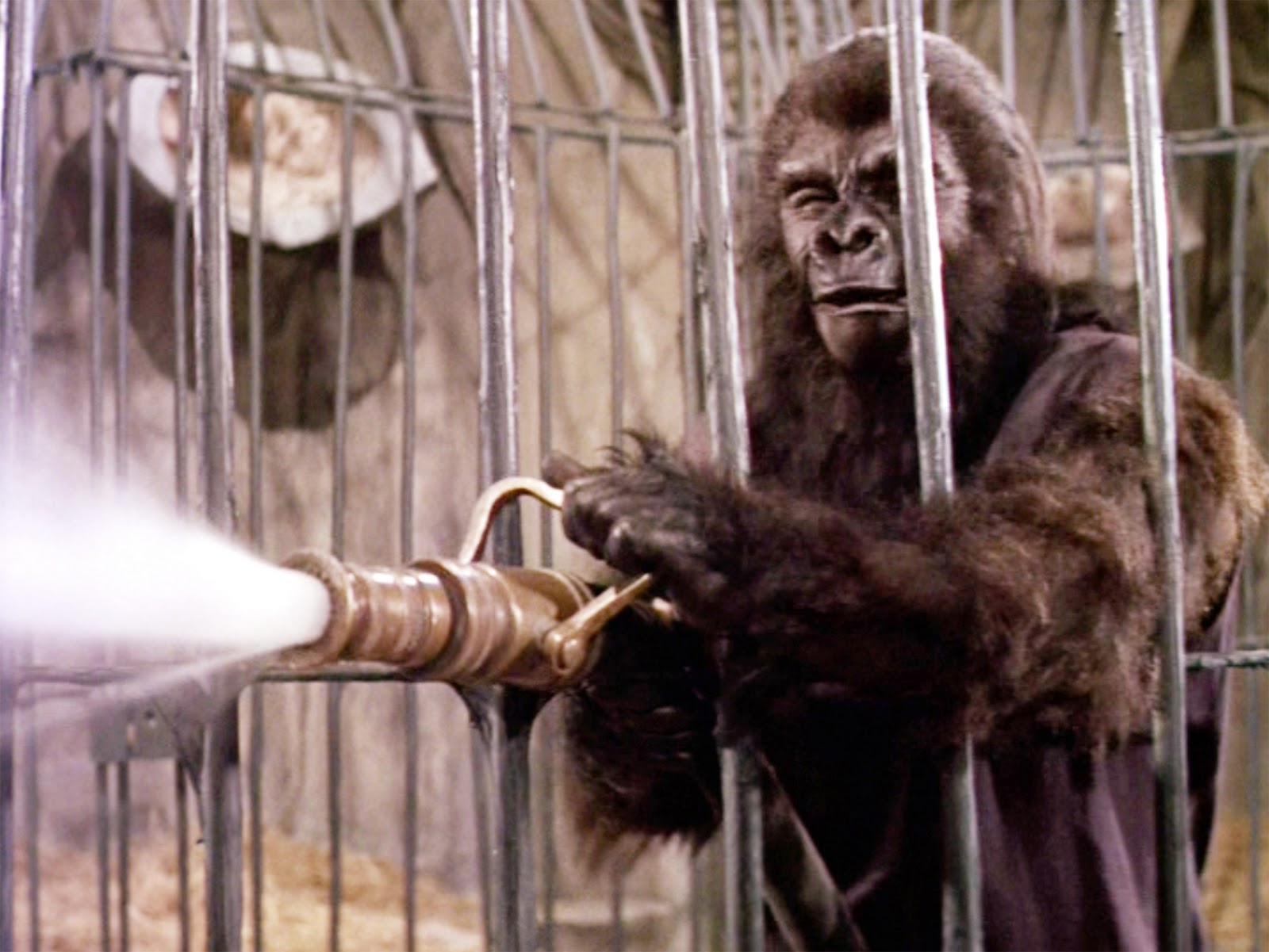 Planet Of The Apes Buck