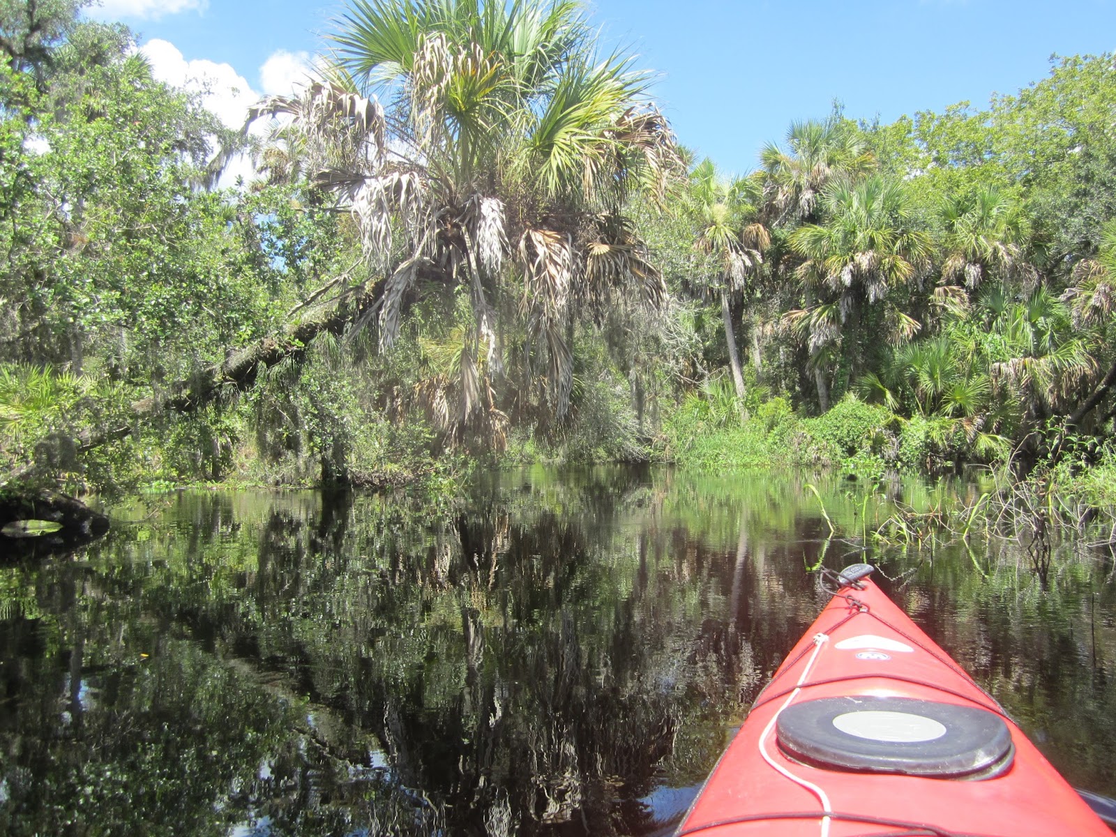 Dave's Yak Tales: Myakka/River/State/Park
