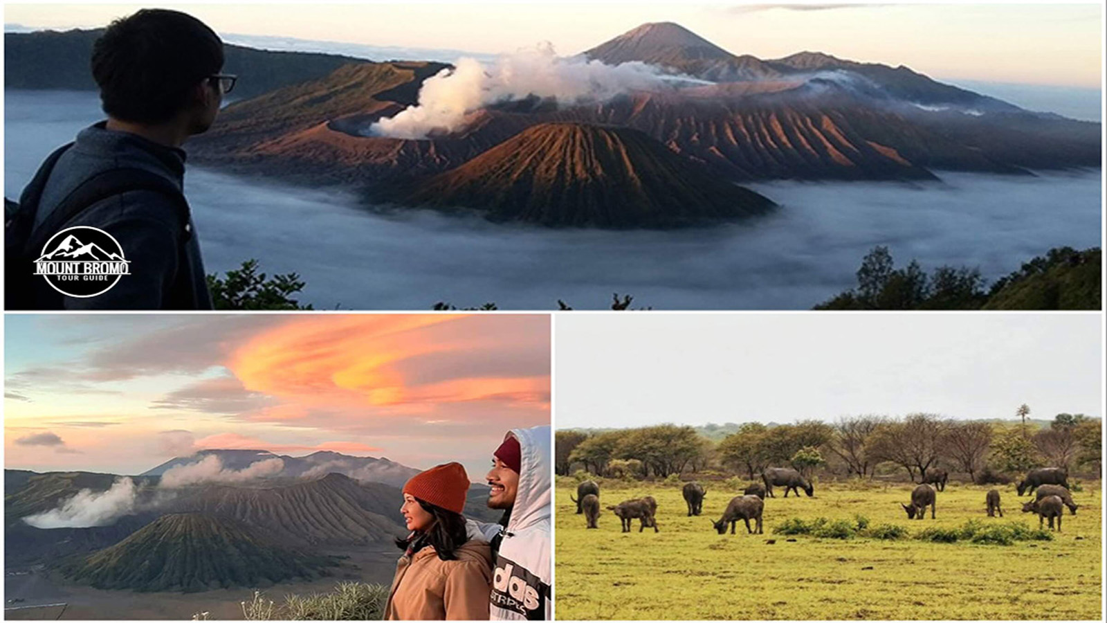 Mount Bromo, Baluran Safari tour package 3 days | Bromo Tour Package