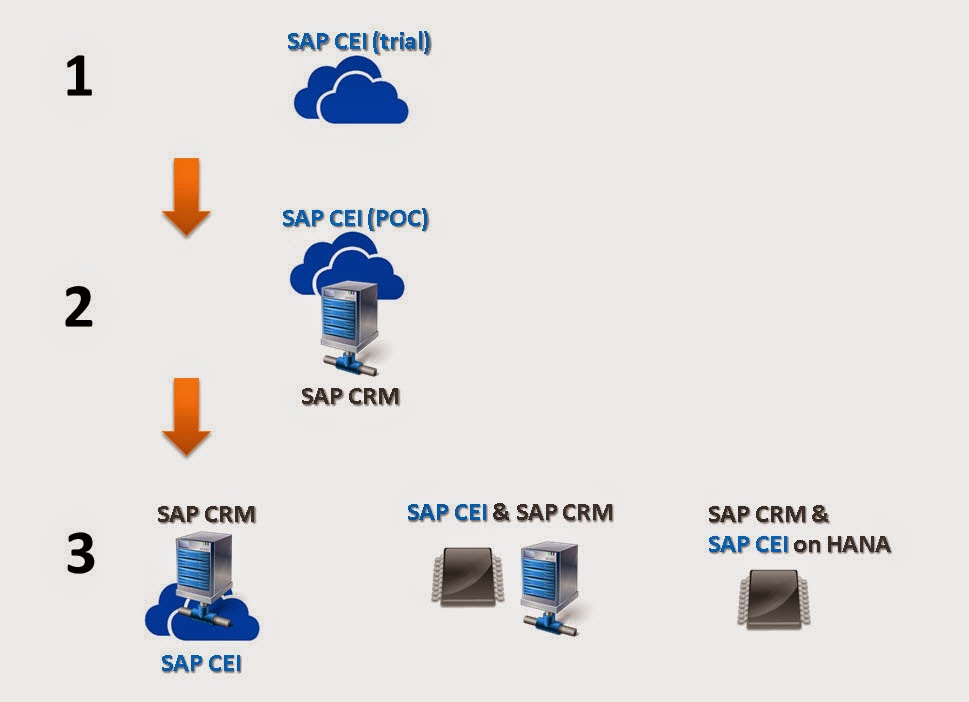 Implementing SAP Customer Engagement Intelligence (SAP CEI) – Acorel
