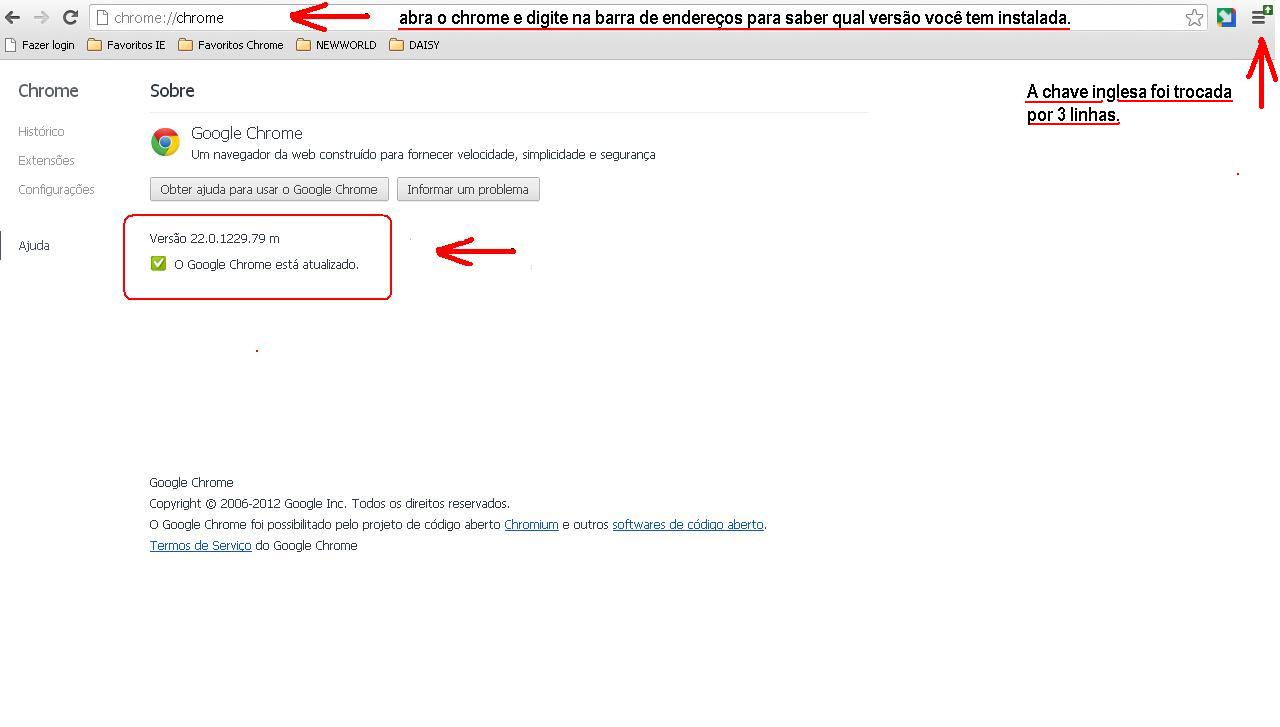 NW Sistemas: 22ª VERSÃO DO GOOGLE CHROME.
