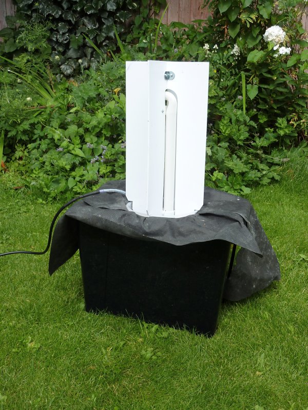 Gnome's Birding Diary: Heath-Robinson Moth Trap