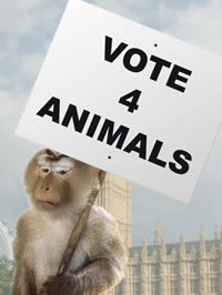 Unwritten: September 2011