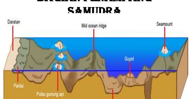 EKOGEO: BENTUK MUKA BUMI DI DASAR LAUTAN